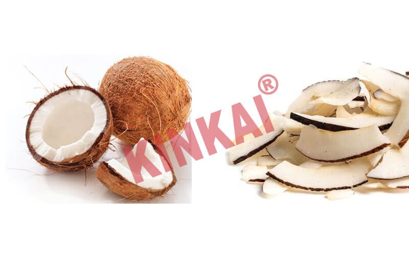 How to Dry Coconut? | Heat Pump Fruit Dehydrator Manufacturer